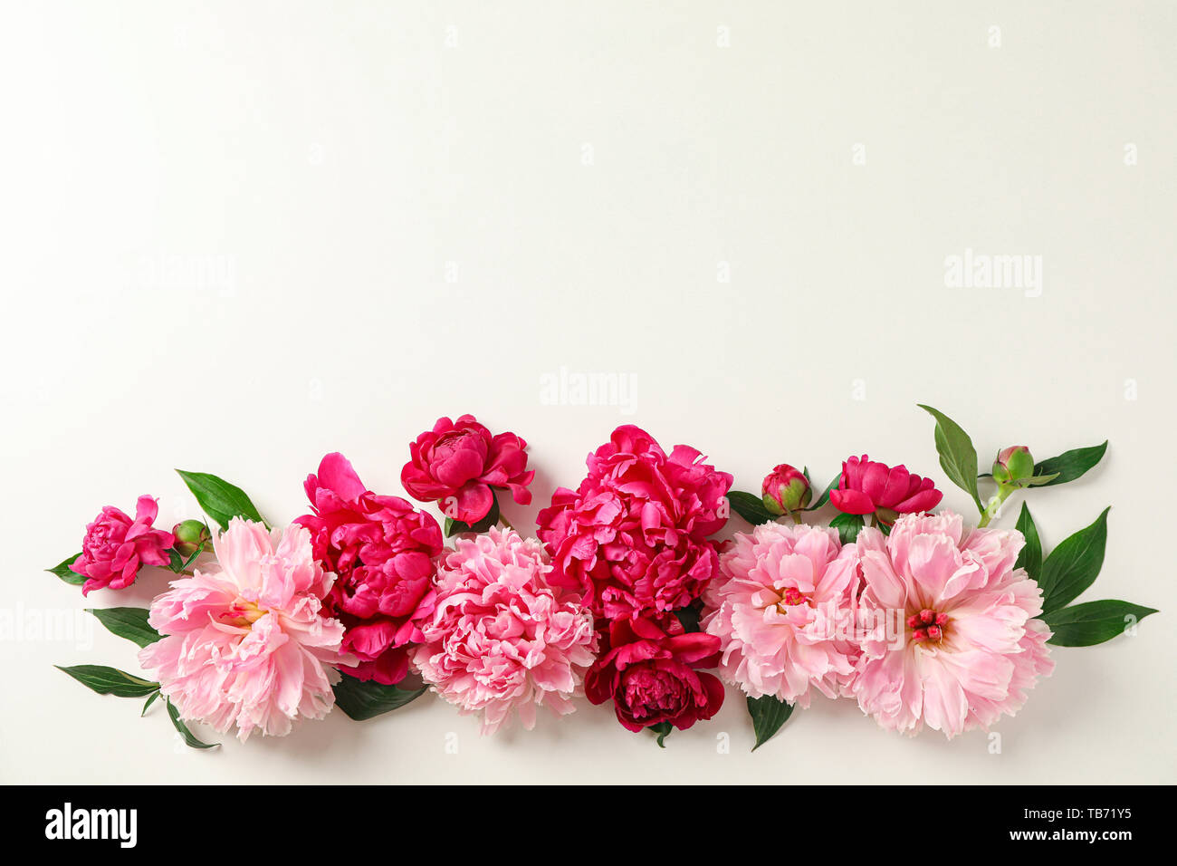 Flat lay composition with beautiful peonies on white background, space ...