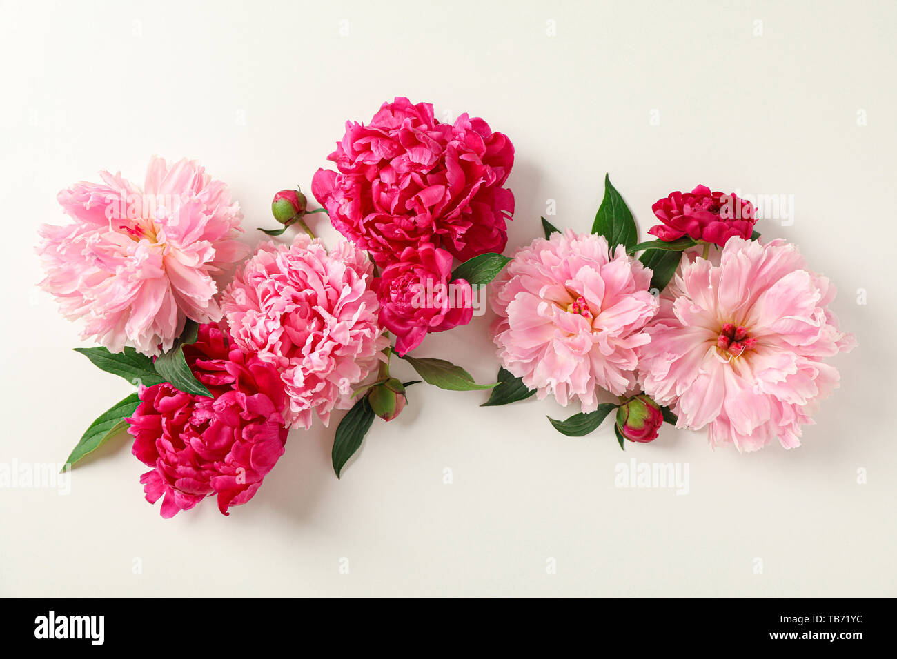 Flat lay composition with beautiful peonies on white background, space ...