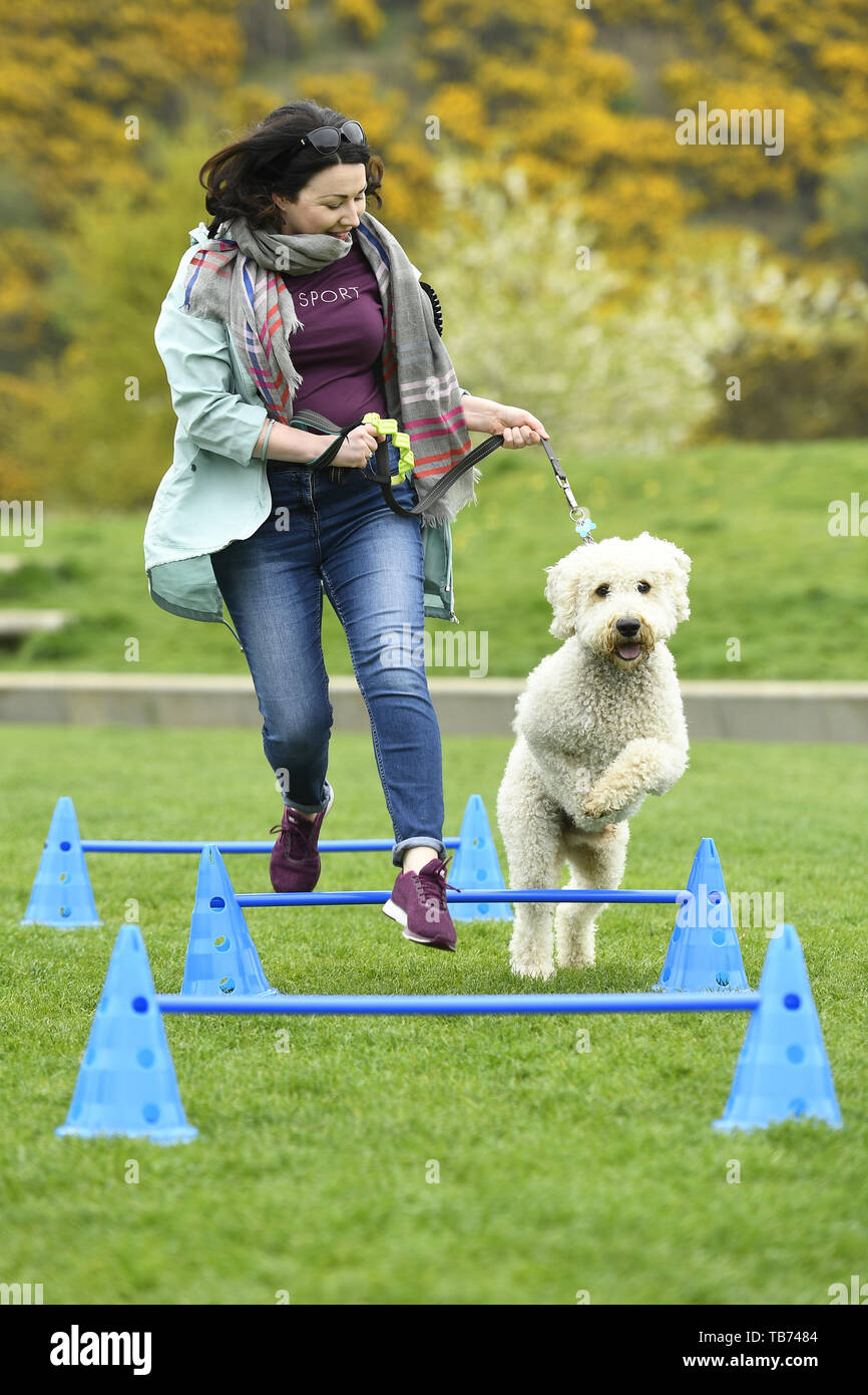 Msp s Take Part In The 3rd Holyrood Dog Of The Year Competition Run