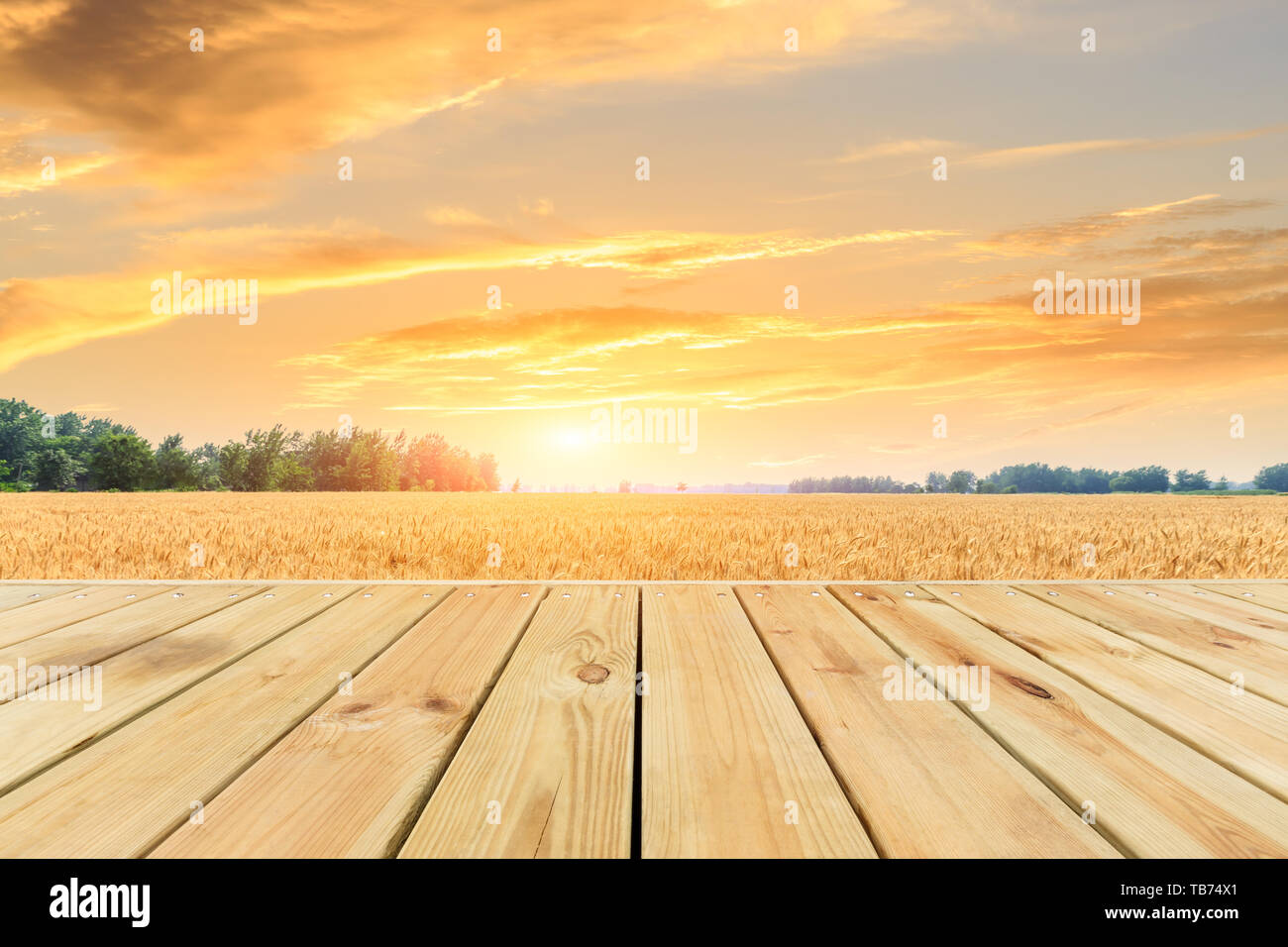 Empty crop field hi-res stock photography and images - Alamy