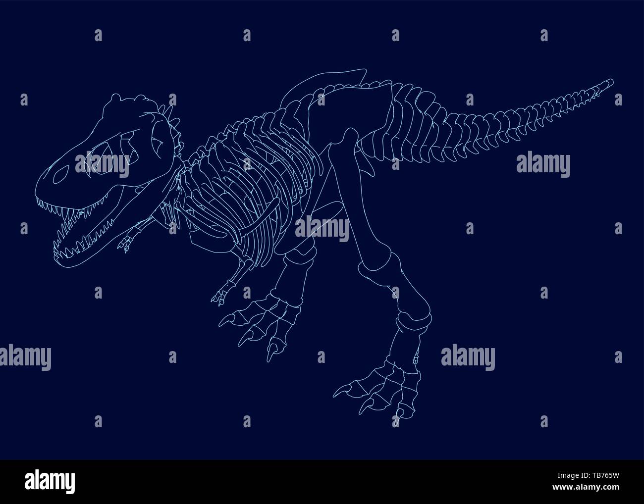Contour of a dinosaur skeleton. Isometric view. Vector illustration ...