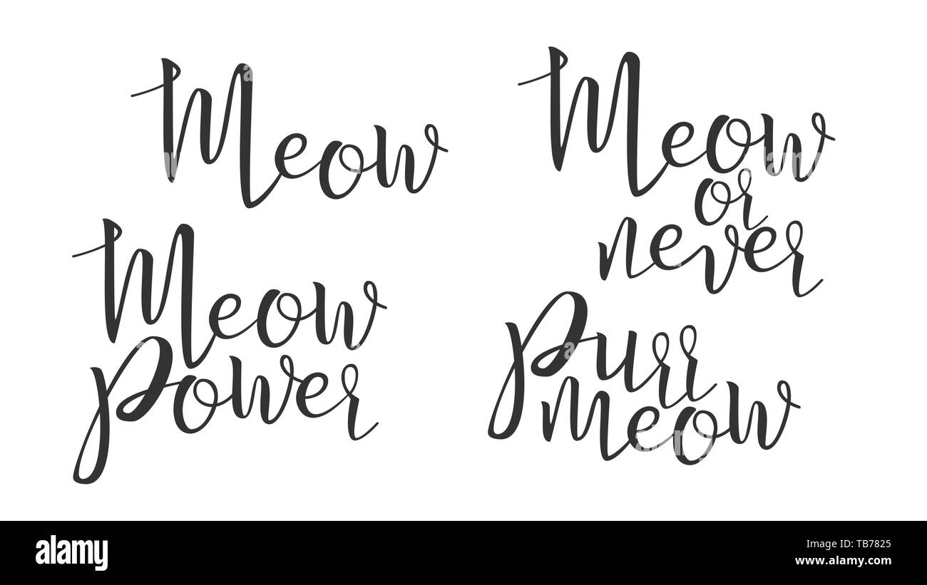 Modern Calligraphy Of Ink Meow Letters Vector Stock Vector Image & Art ...