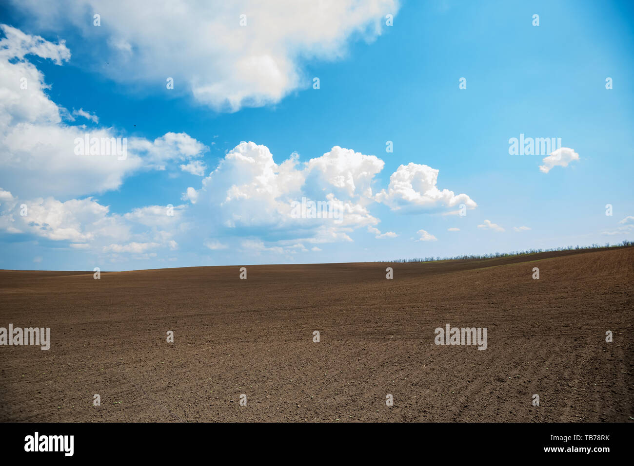 Empty brown soil of field and blue sky for natural background Stock ...