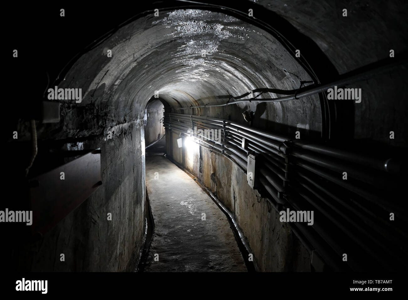 1950s bus interior hi-res stock photography and images - Alamy