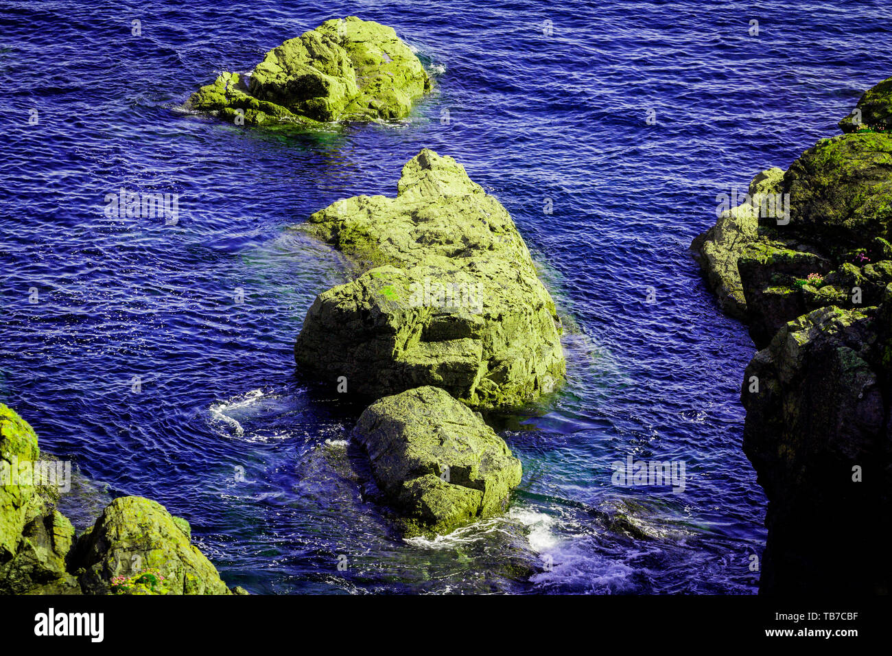 Photo of an abstract, fantastic, unreal landscape with water in purple ...
