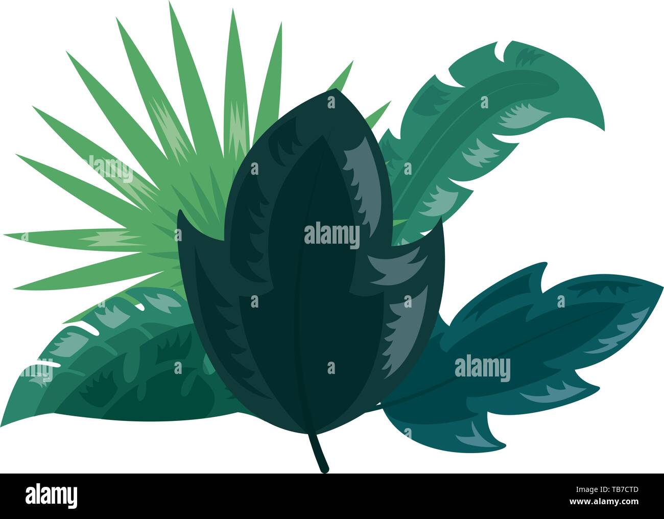tropical leaves foliage arrangement Stock Vector Image & Art - Alamy
