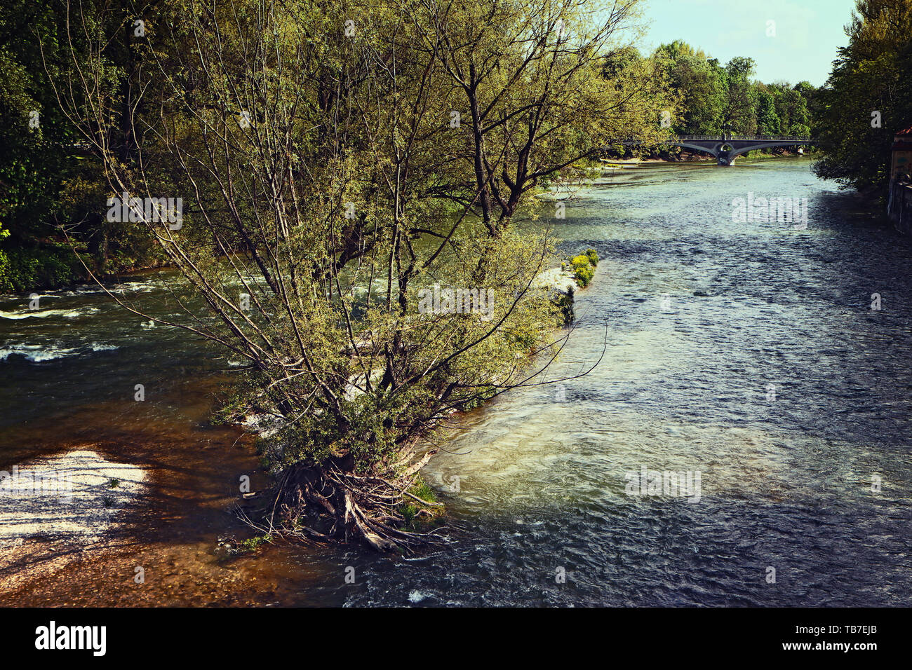 Panoramic spring view of Isar river in Munich with the clear and clean ...