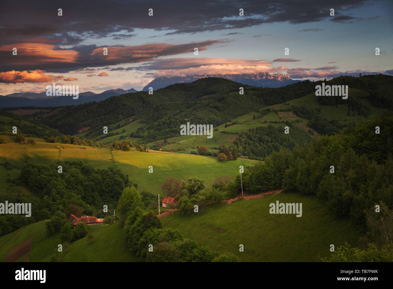 Summer green landscape in Transylvania Stock Photo - Alamy