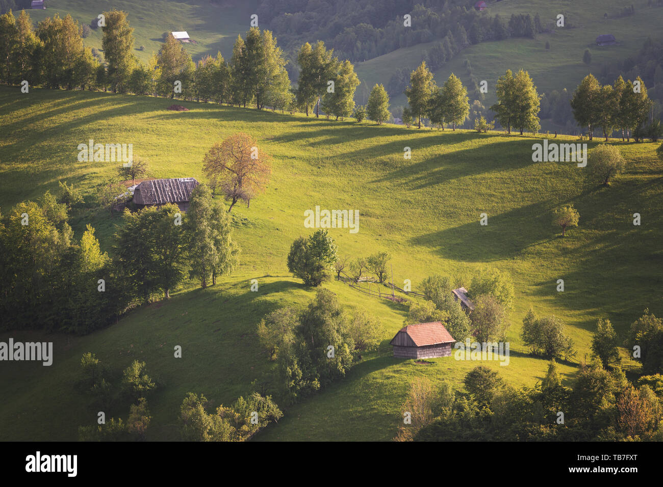 Summer green landscape in Transylvania Stock Photo - Alamy
