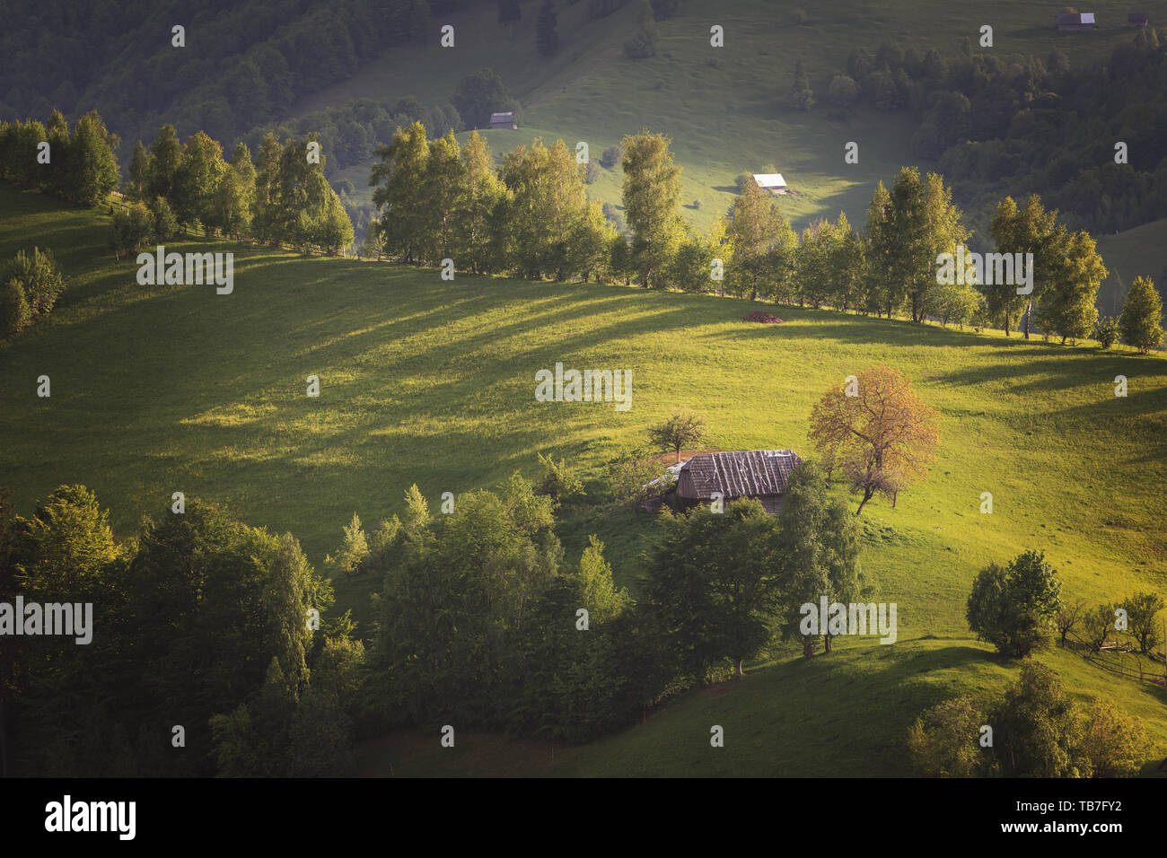Summer green landscape in Transylvania Stock Photo - Alamy