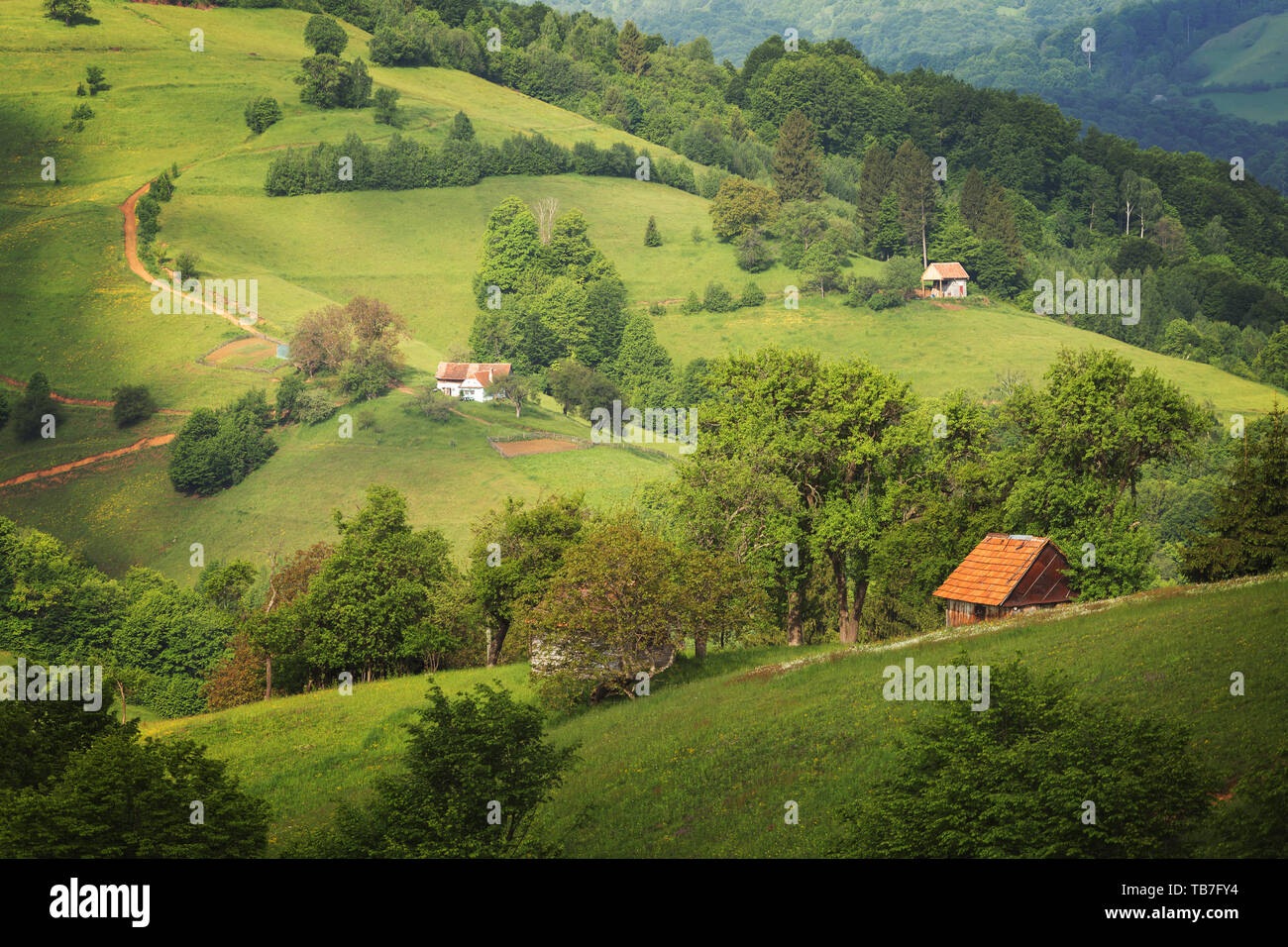 Summer green landscape in Transylvania Stock Photo - Alamy