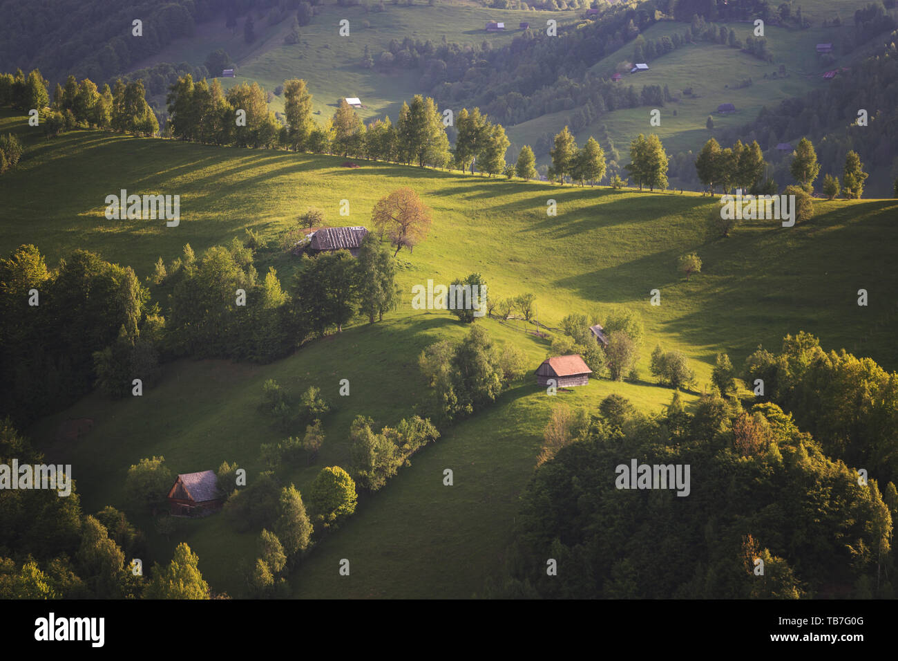 Summer green landscape in Transylvania Stock Photo - Alamy