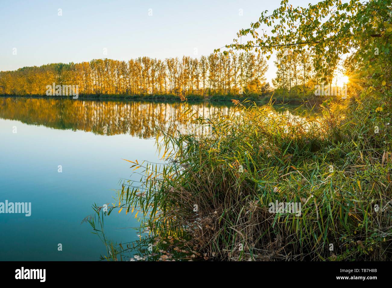 Evening atmosphere in the nature reserve Herbslebener Teiche, Thuringia ...