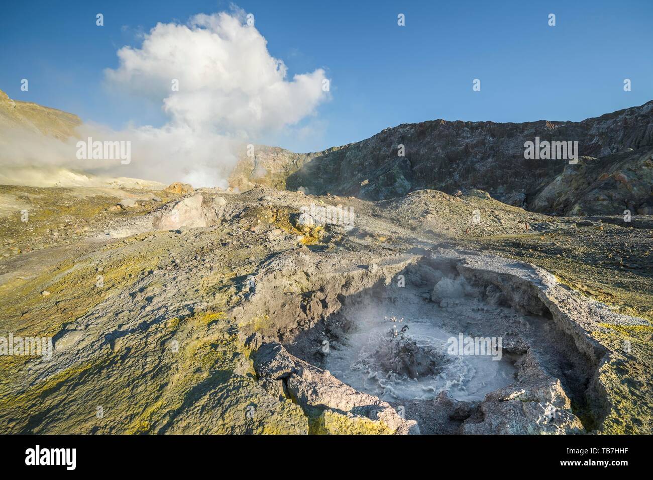 Geyser and fumaroles on the volcanic island White Island, Whakaari ...