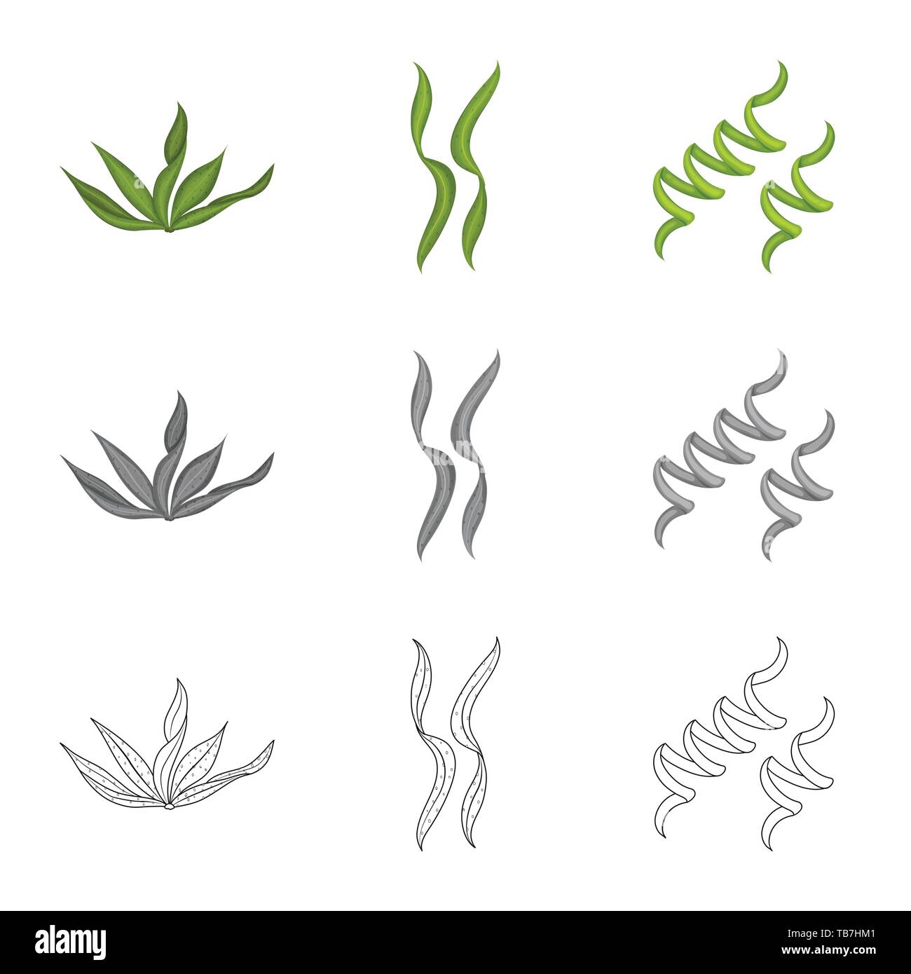 algae,healthy,seafood,spiral,organic,vegetable,aquarium,ocean ...