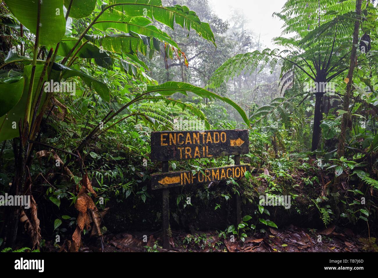 Encantado Trail, signpost and dense vegetation in cloud forest, Reserva ...