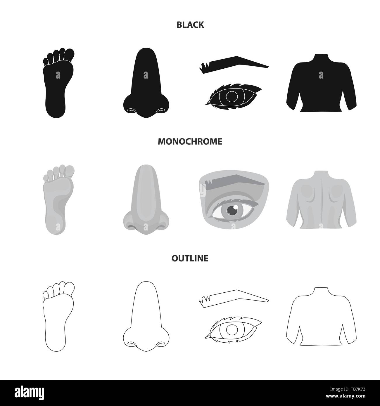 Vector design of body and part symbol. Set of body and anatomy stock ...