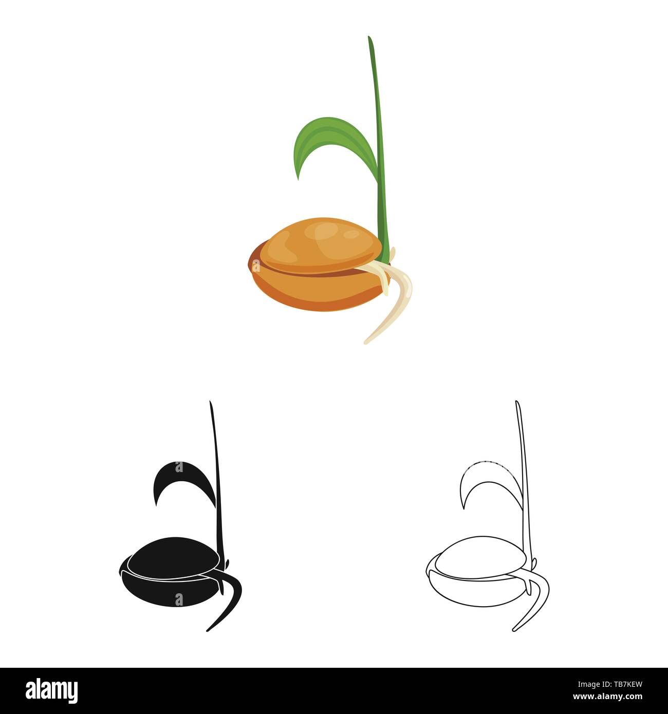 Sprouting Seed Vector