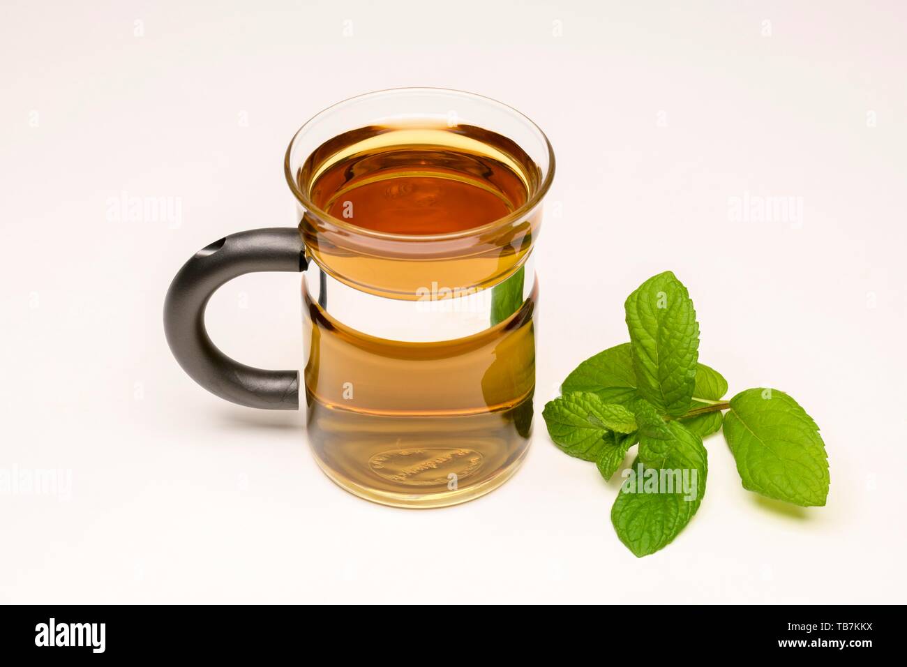 Peppermint tea (Mentha x piperita), cutout, Germany Stock Photo - Alamy