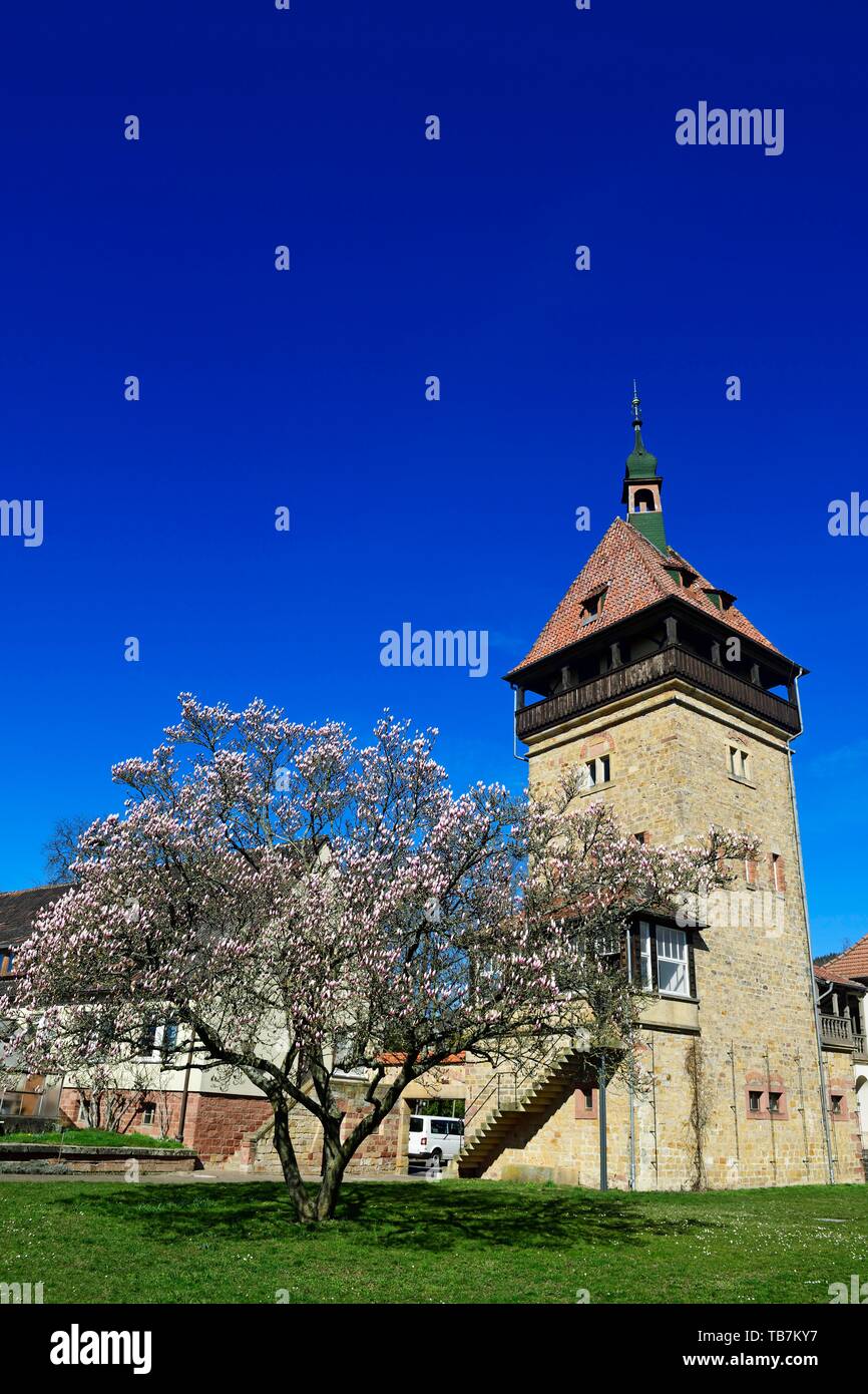 Julius kuhn institute hi-res stock photography and images - Alamy