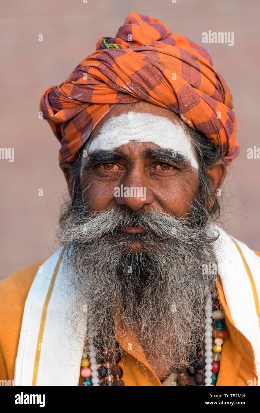 Portrait of a Sadhu, holy man, Varanasi, Uttar Pradesh, India Stock ...