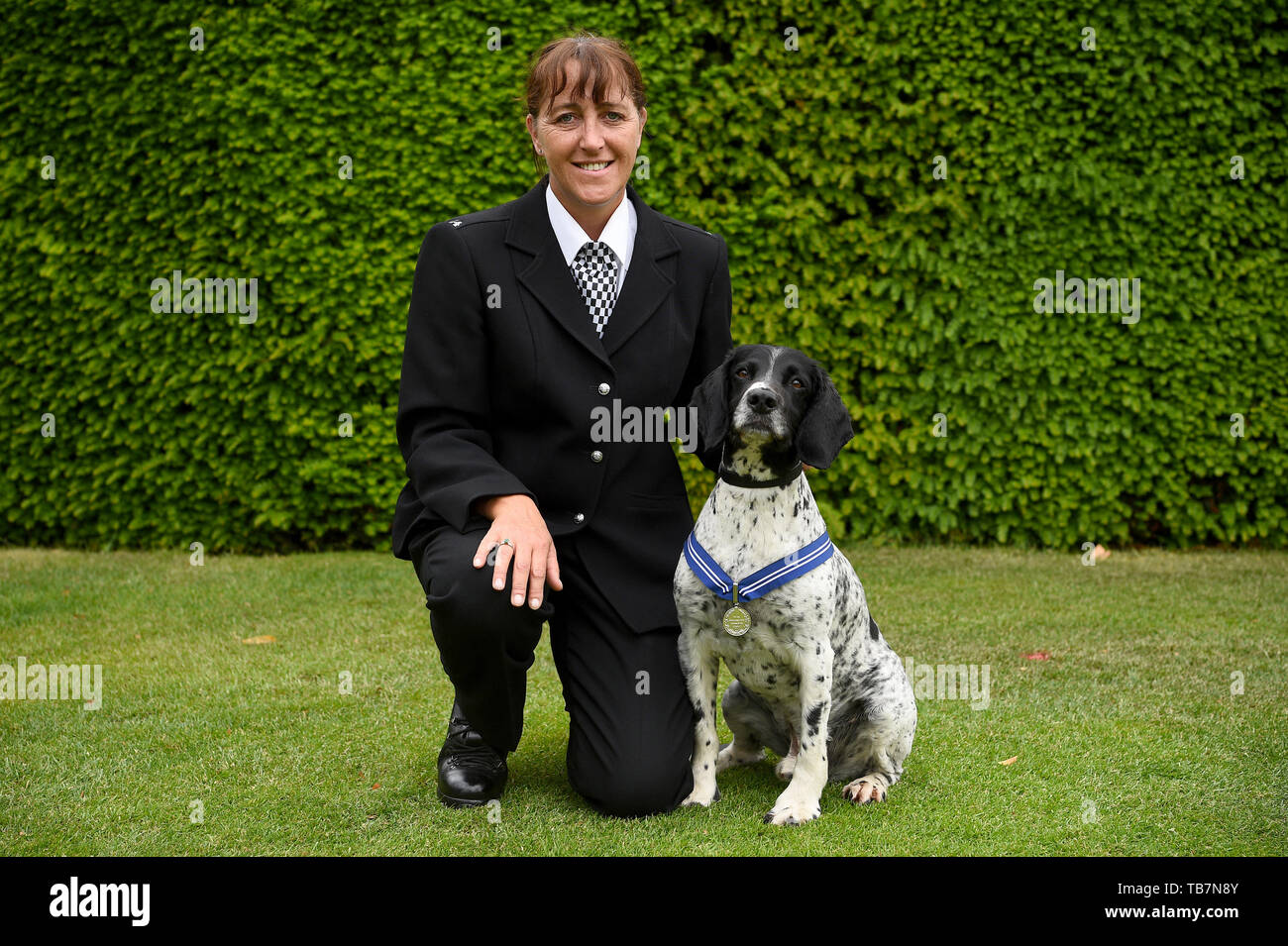 Pdsa order of merit hi-res stock photography and images - Alamy