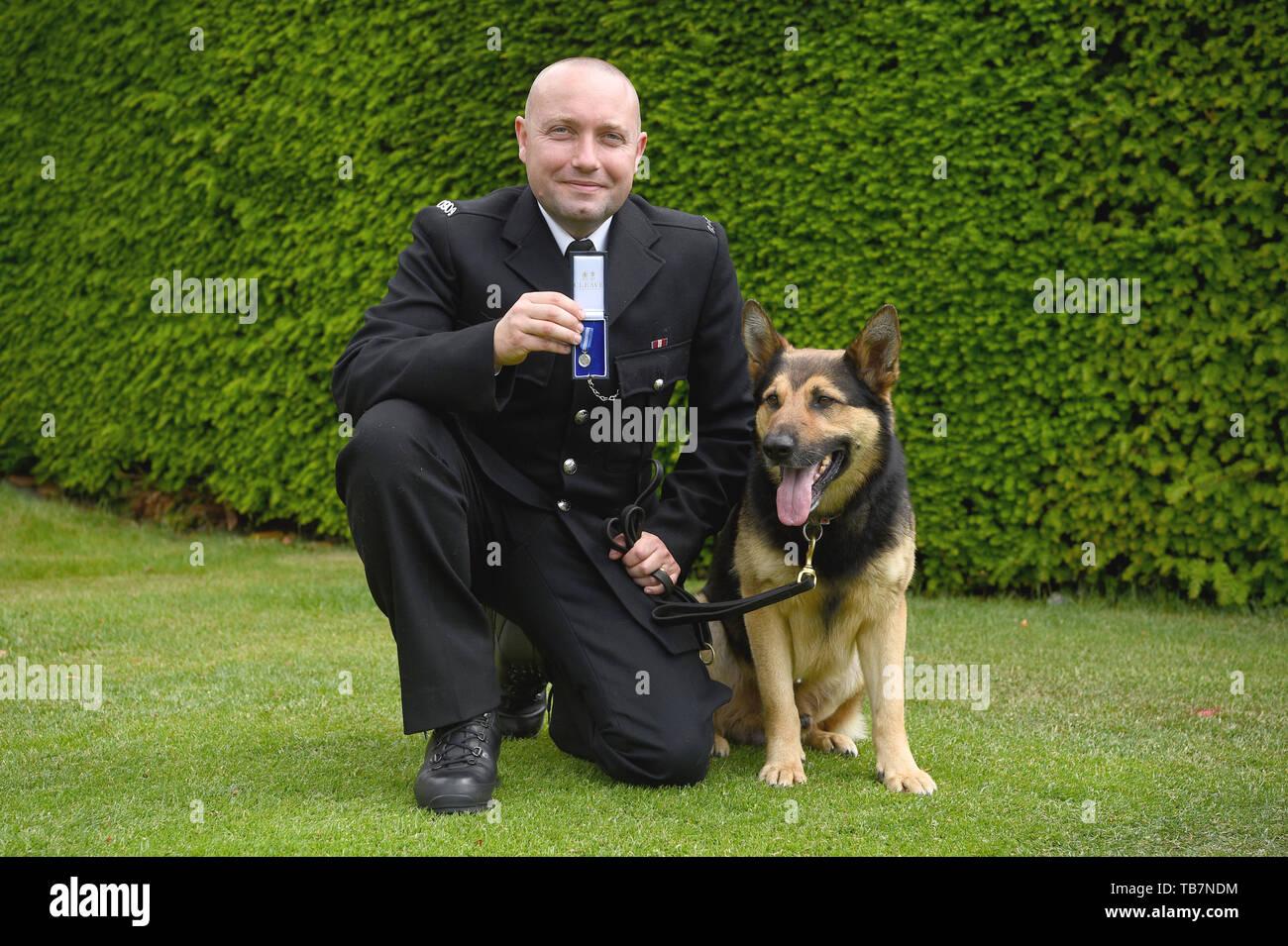 Pdsa order of merit hi-res stock photography and images - Alamy
