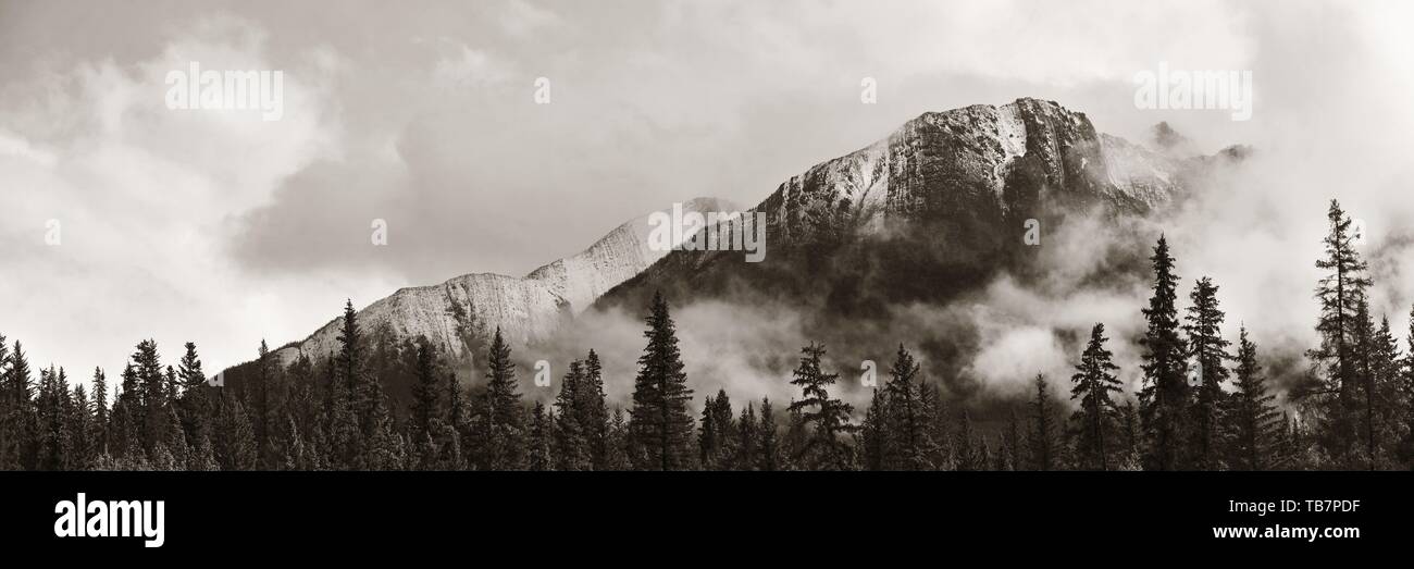 Banff national park view panorama with foggy mountains and forest in ...