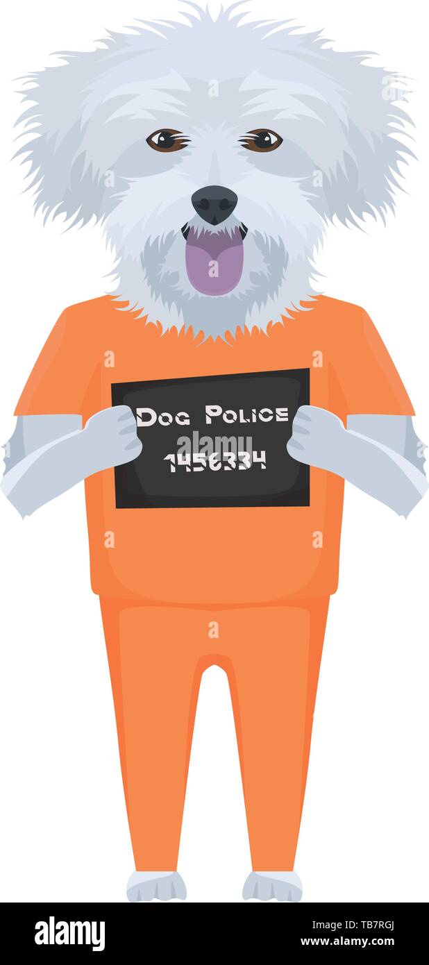 Police photo prison uniform Maltese - Mugshot of the guilty dog. The ...