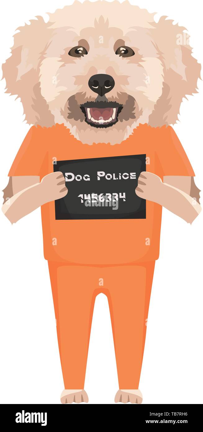 Police photo prison clothes poodle - Mugshot of the guilty dog. The ...