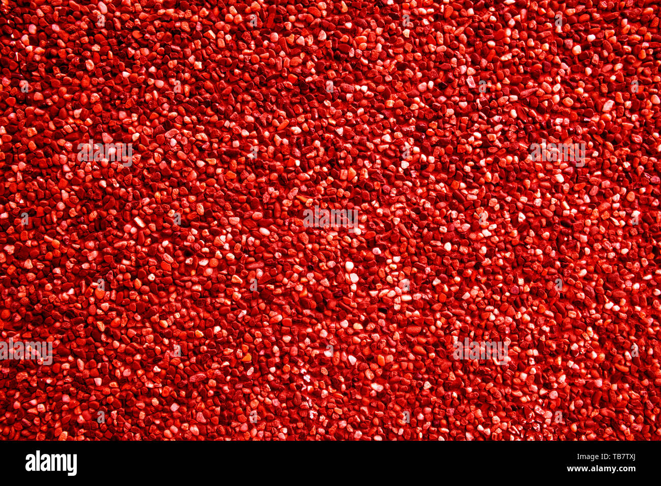 Calypso coral hi-res stock photography and images - Alamy