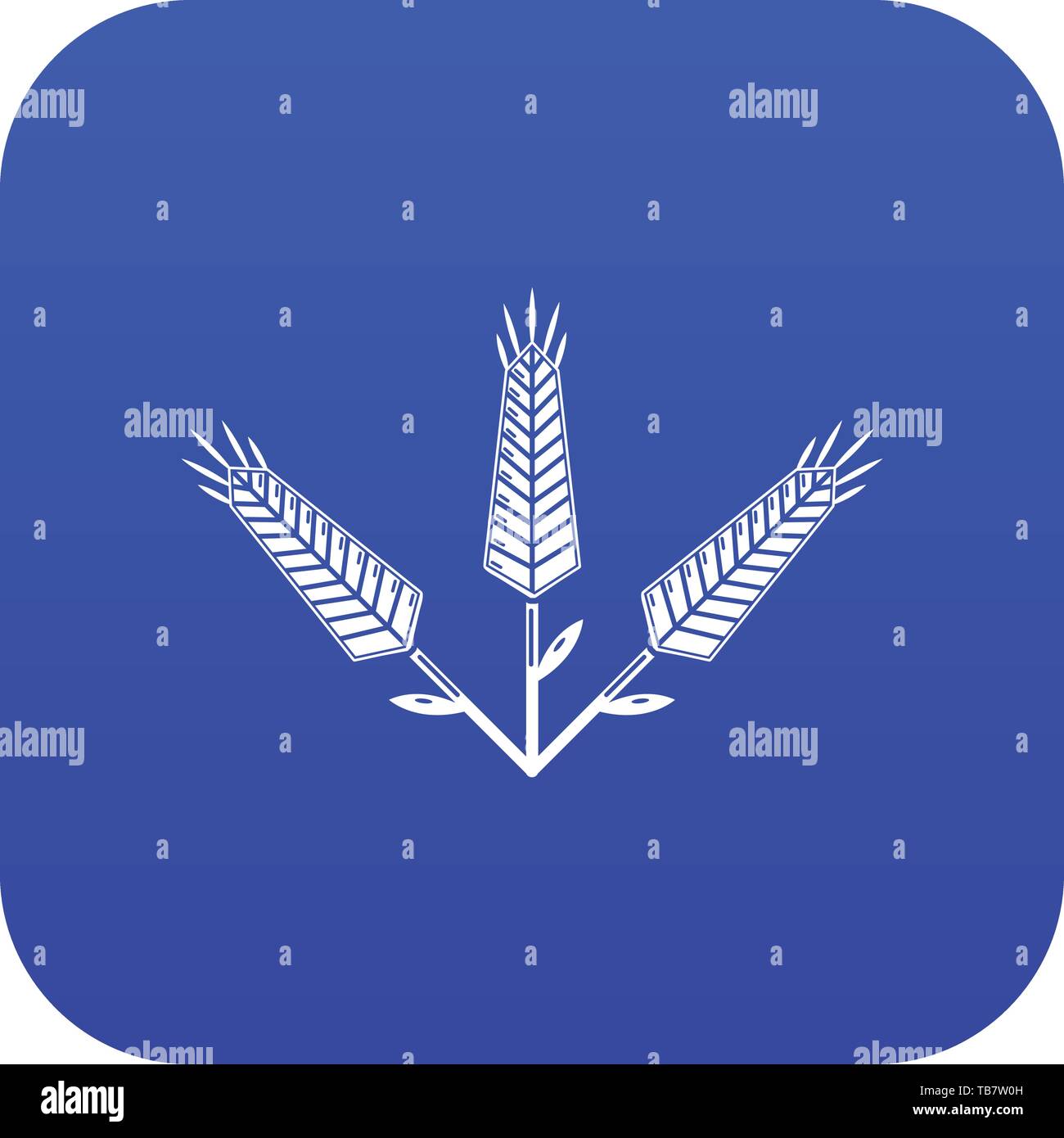 Abundant wheat icon blue vector Stock Vector Image & Art - Alamy