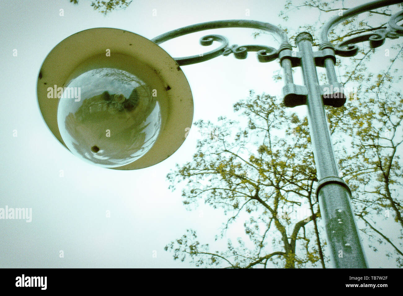 Transparent round lanterns on a blurred natural background. A close-up ...
