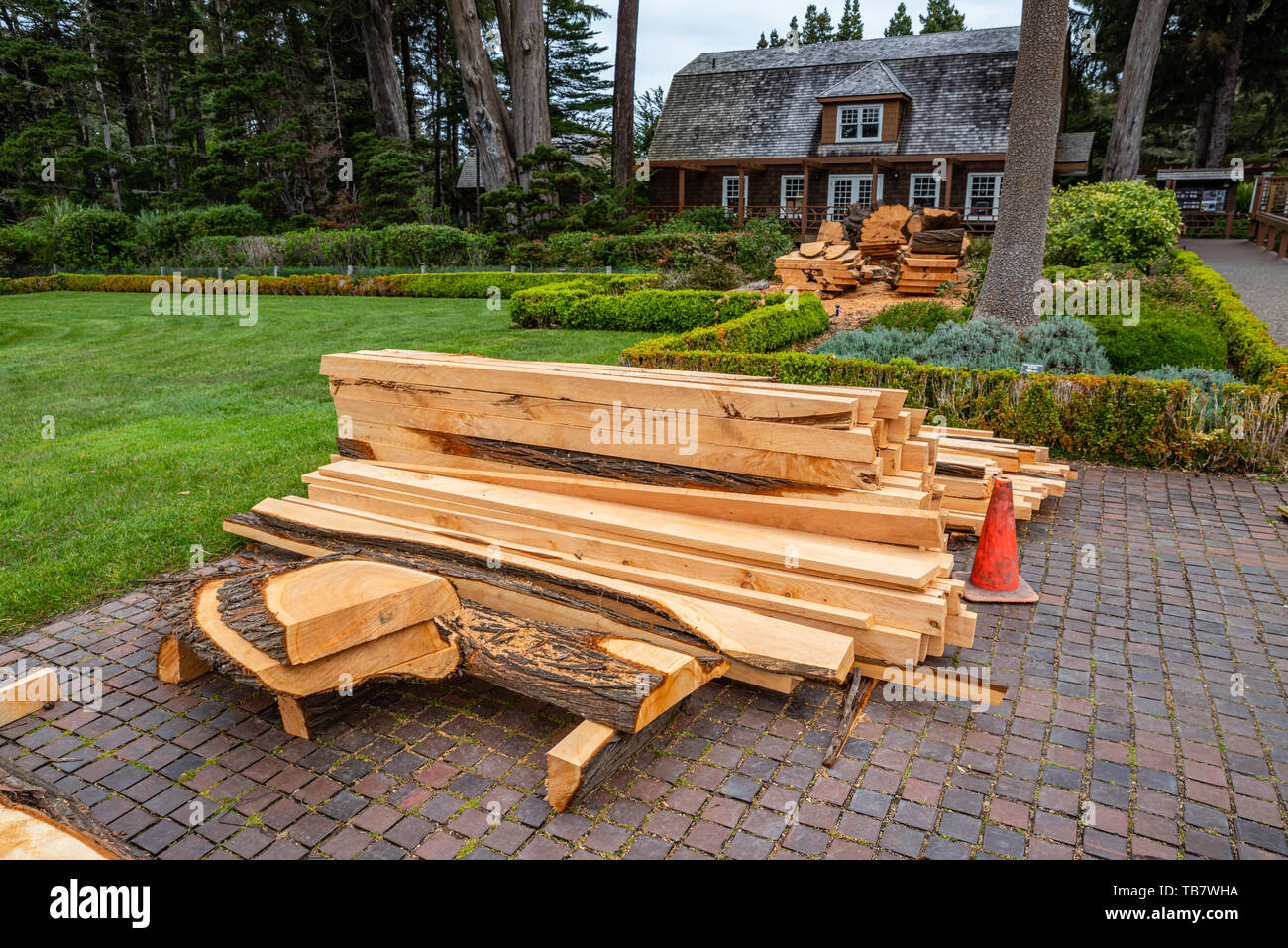 Lumber salvaged from a fallen tree at Shore Acres State Park, Coos Bay ...