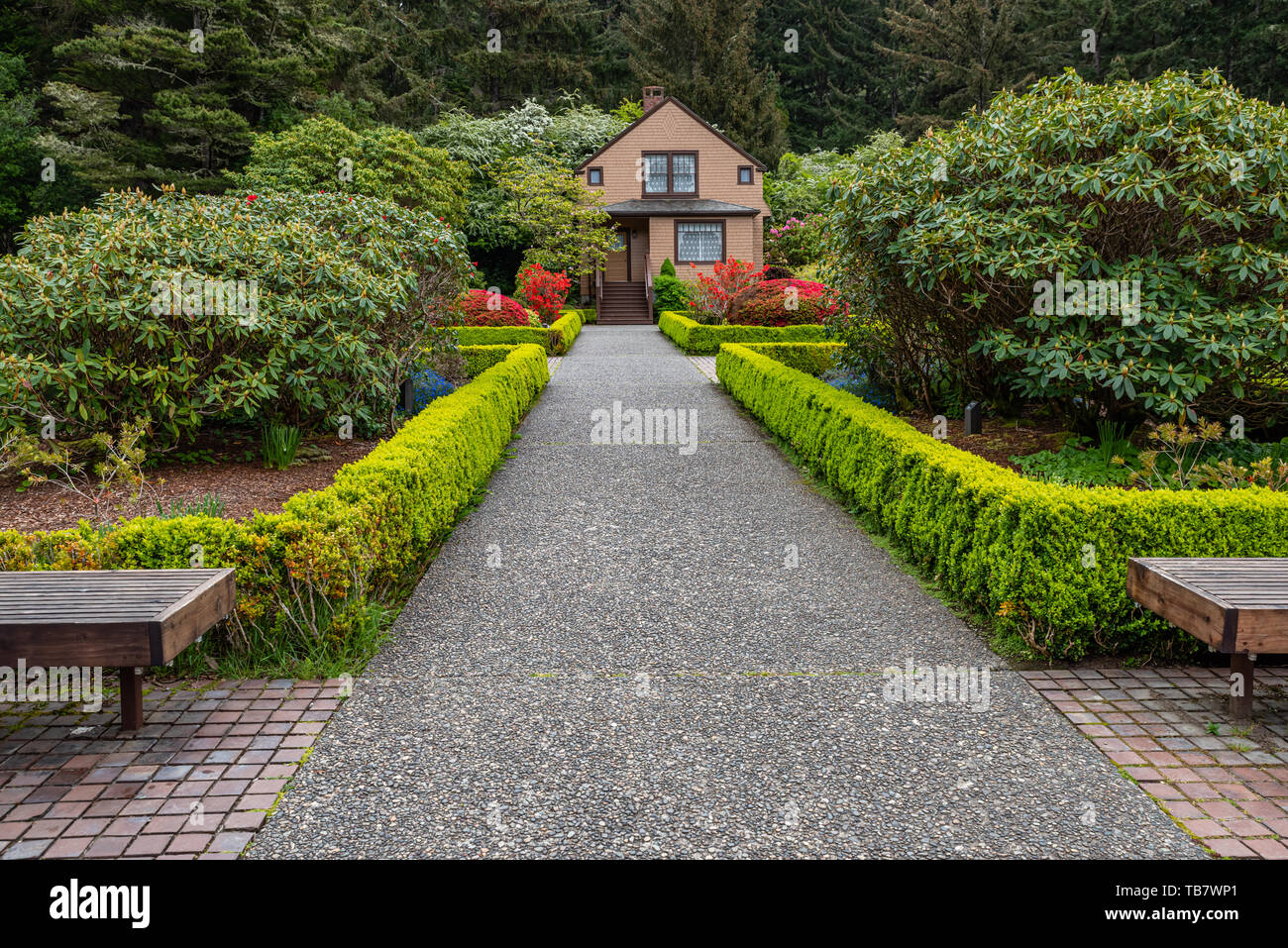 Walkway through a formal boxwood hedge at Shore Acres State Park, Coos ...
