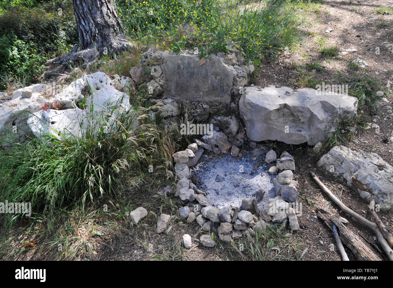 burnt out campfire in a fire pit. stones in a circle around the fire is ...
