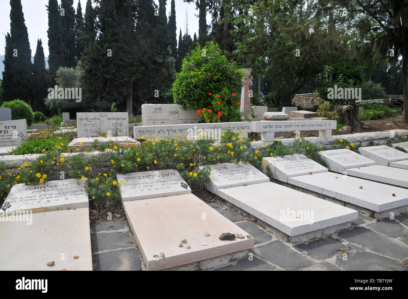 Battle of tel hai hi-res stock photography and images - Alamy