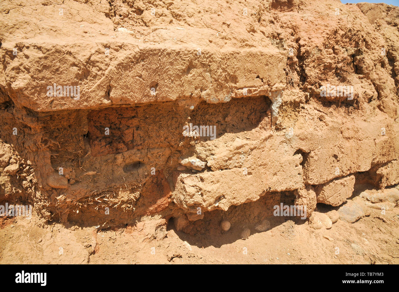 Israel, Negev, Tel Be'er Sheva believed to be the remains of the ...