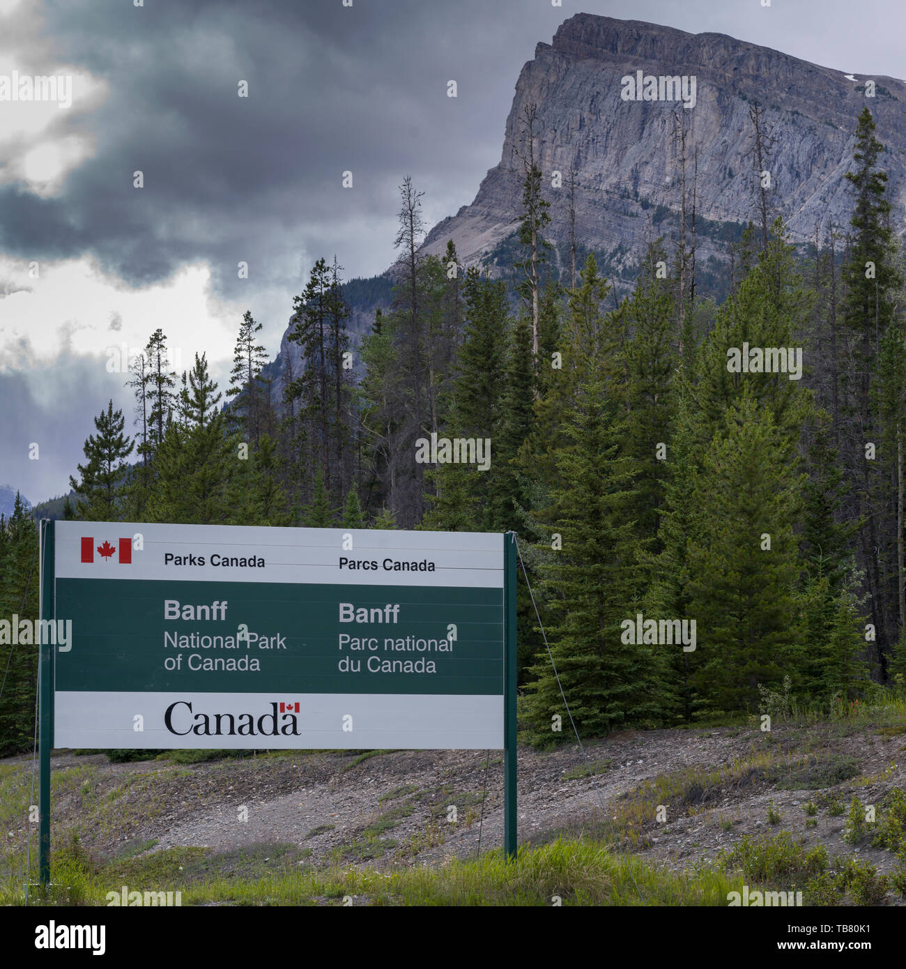 Information sign of Banff National Park, David Thompson Highway ...