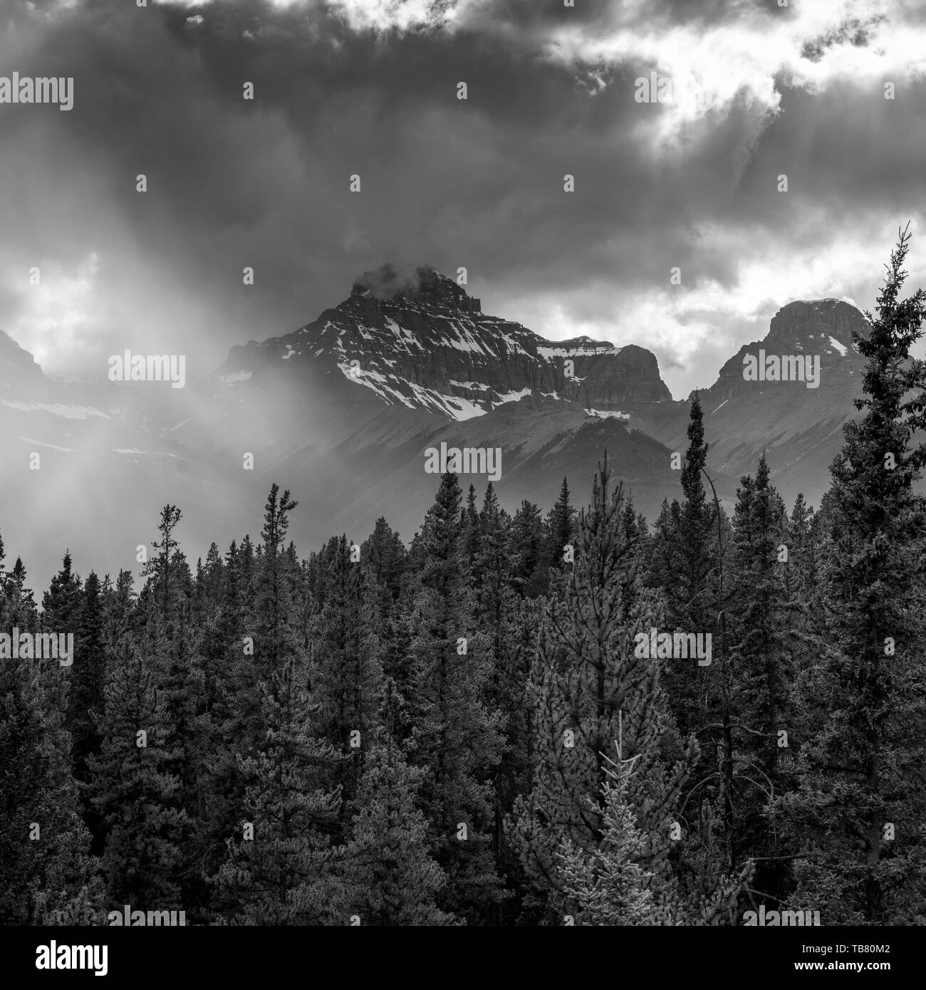 Saskatchewan crossing Black and White Stock Photos & Images - Alamy