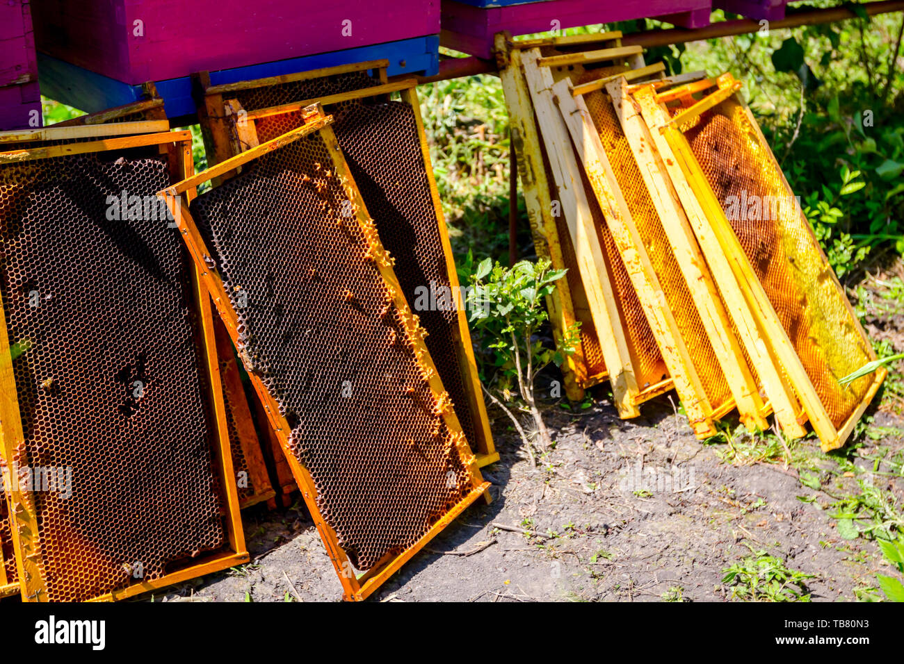 Pile of wooden frames with empty honeycomb placed on ground next to the ...