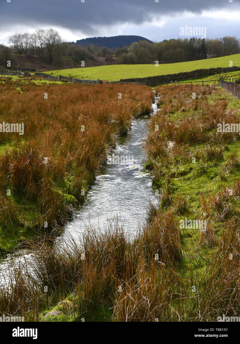 River petteril in cumbria hi-res stock photography and images - Alamy