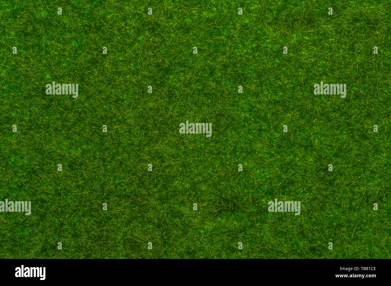 Top view green grass background Stock Photo - Alamy