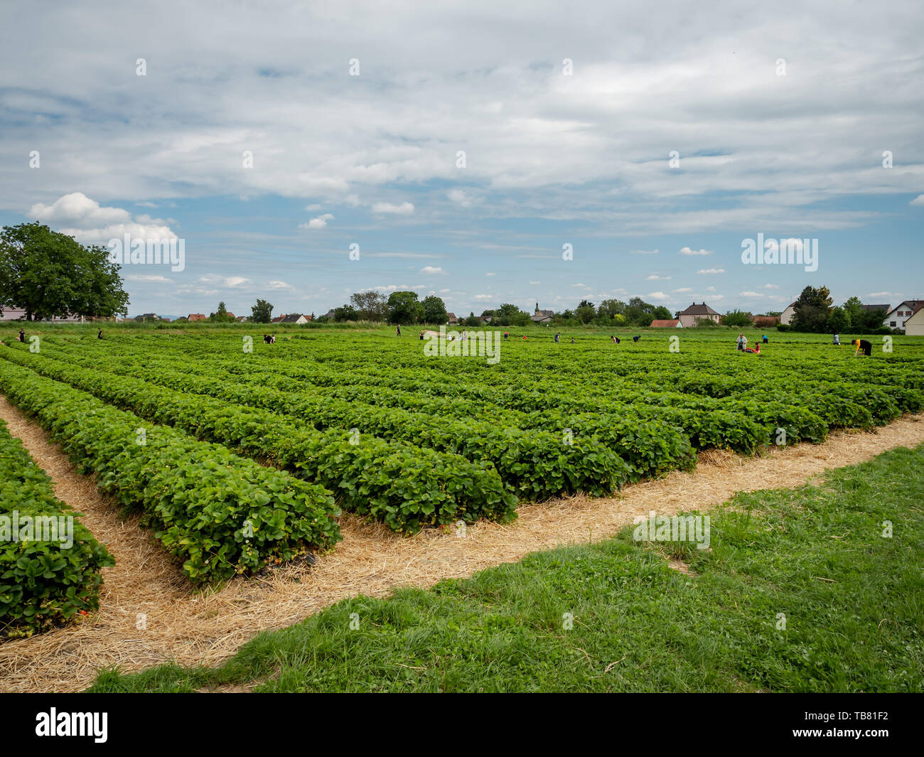 Nordhouse village hi-res stock photography and images - Alamy