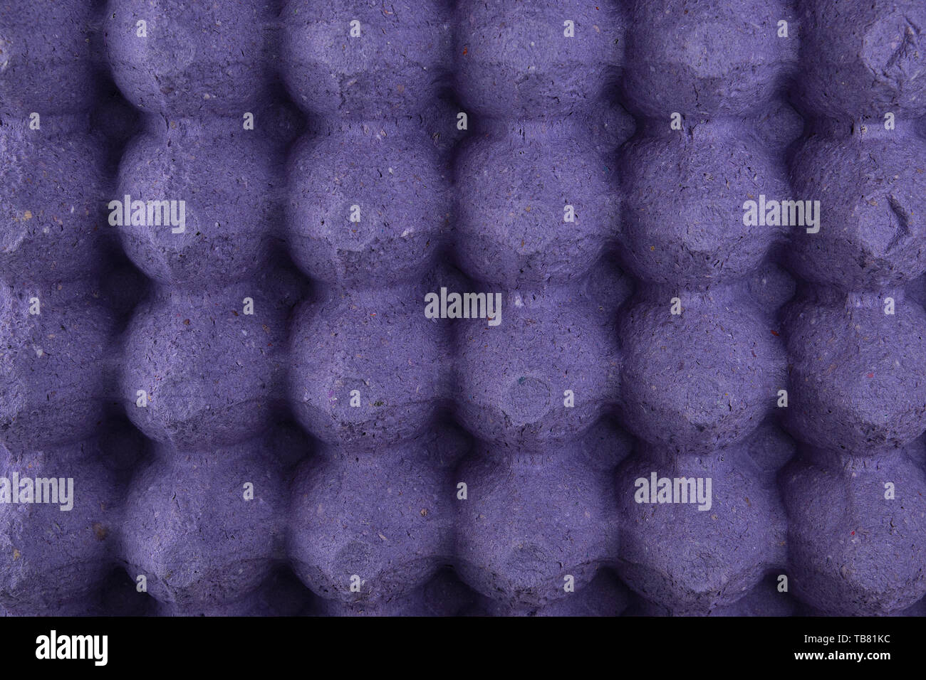 purple protective tray for raw chicken eggs with cells, full frame ...