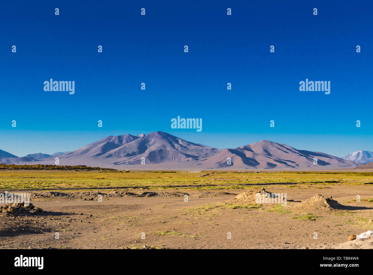 Scenic landscape at Uyuni in Bolivia with the green field and mountain ...
