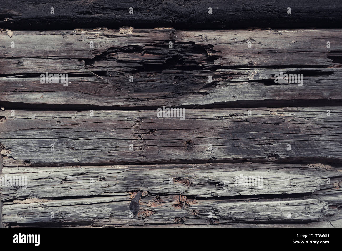 texture old tree. burnt wood. vintage log house Stock Photo - Alamy