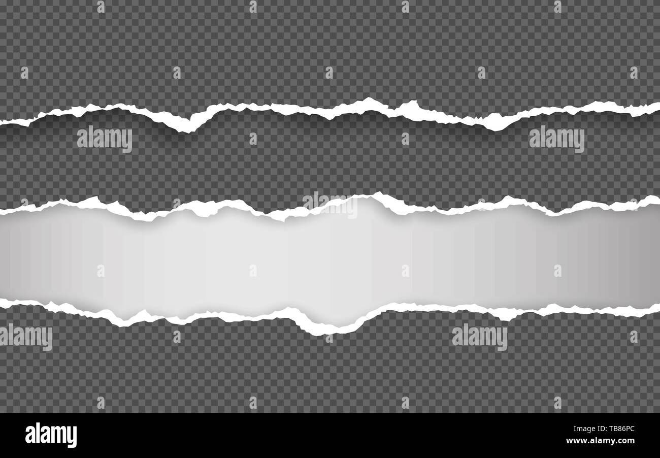 Horizontal torn paper edge. Ripped squared horizontal white paper ...