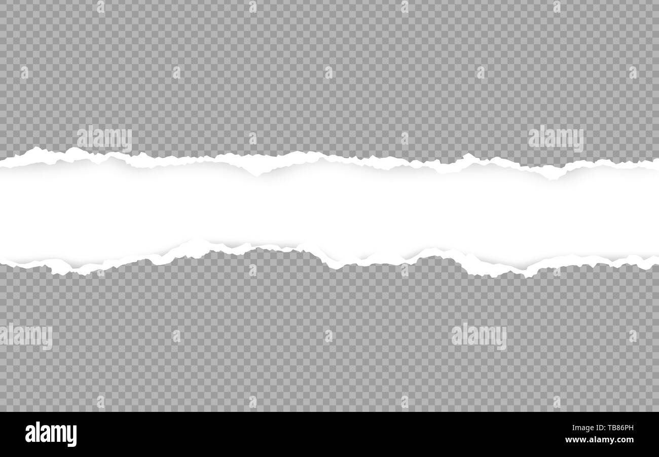 Horizontal torn paper edge. Ripped squared horizontal white paper ...