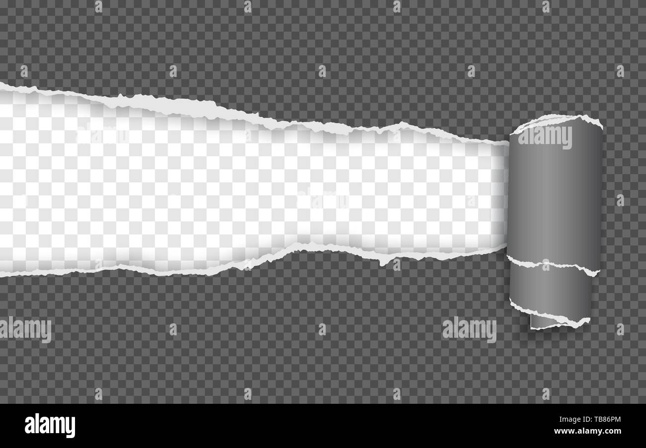 Realistic torn and twisted paper strip. Torn paper edge. Vector ...